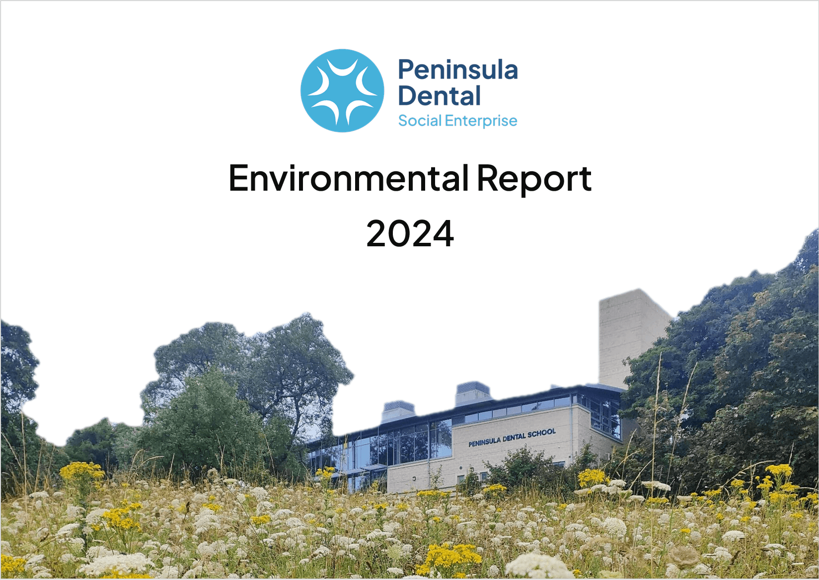 Peninsula Dental Social Enterprise | Governance